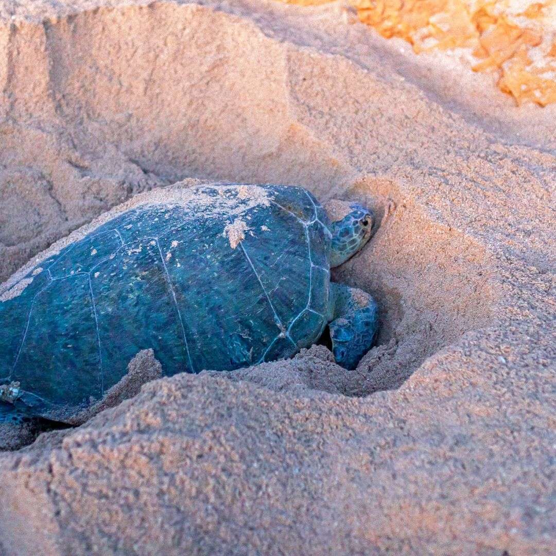 Oman 7-Day Itinerary • Khyati Maloo, Itinerary Whisperer