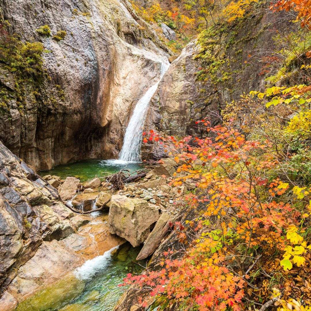 Best Hikes in South Korea • Khyati Maloo, Itinerary Whisperer
