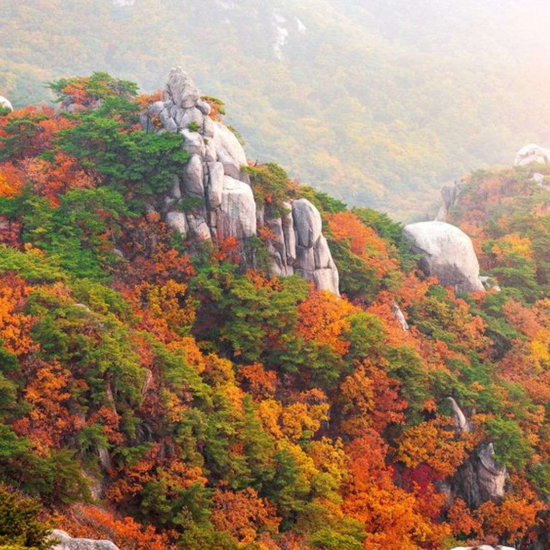 Best Hikes in South Korea • Khyati Maloo, Itinerary Whisperer