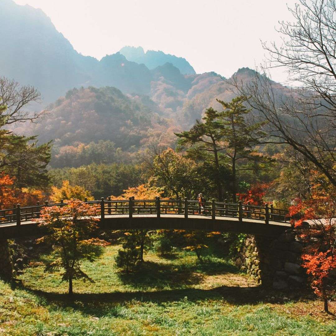 Fall Foliage in South Korea, Your Guide to the Best Autumn Hikes and ...