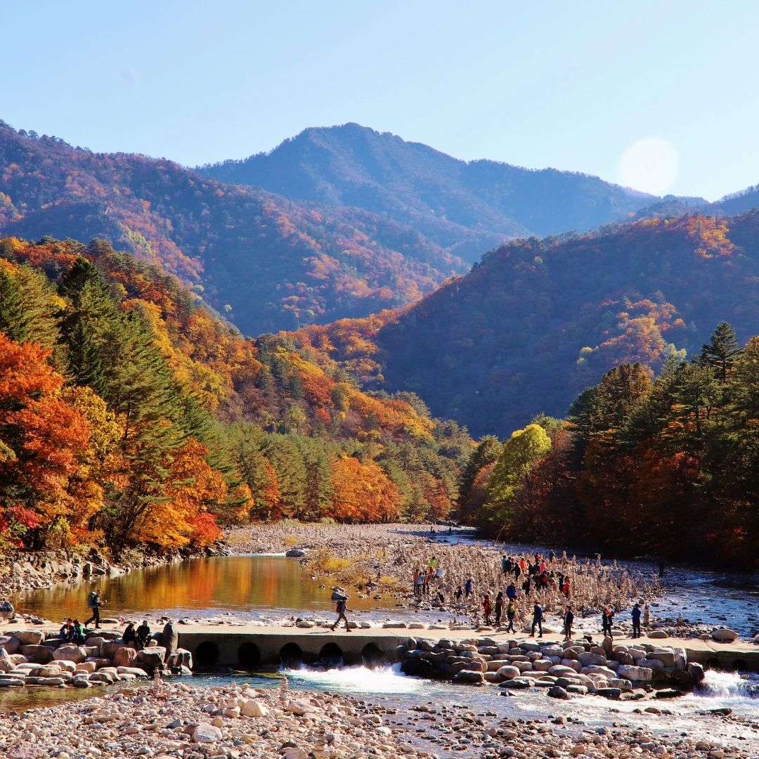 Best Hikes in South Korea • Khyati Maloo, Itinerary Whisperer